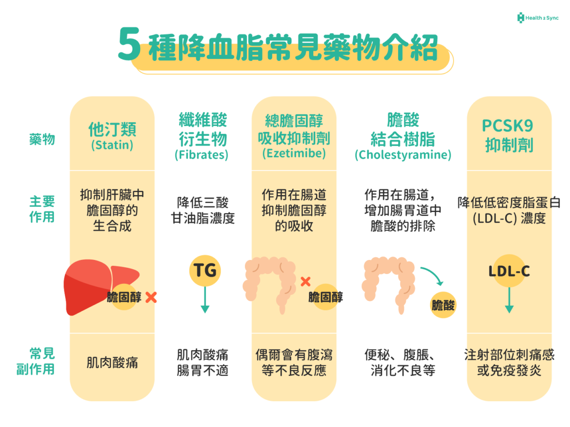 高血脂怎麼治療？治療高血脂的常見藥物 Health2sync Blog