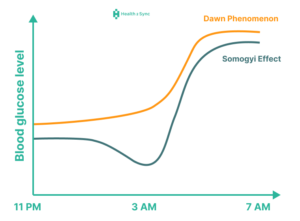 Why Is Morning Blood Sugar High? Dawn Phenomenon and Somogyi Effects ...
